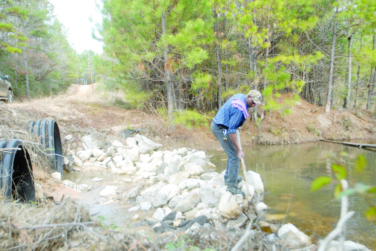 New contract aimed at lessening beaver problem – Greene County Herald